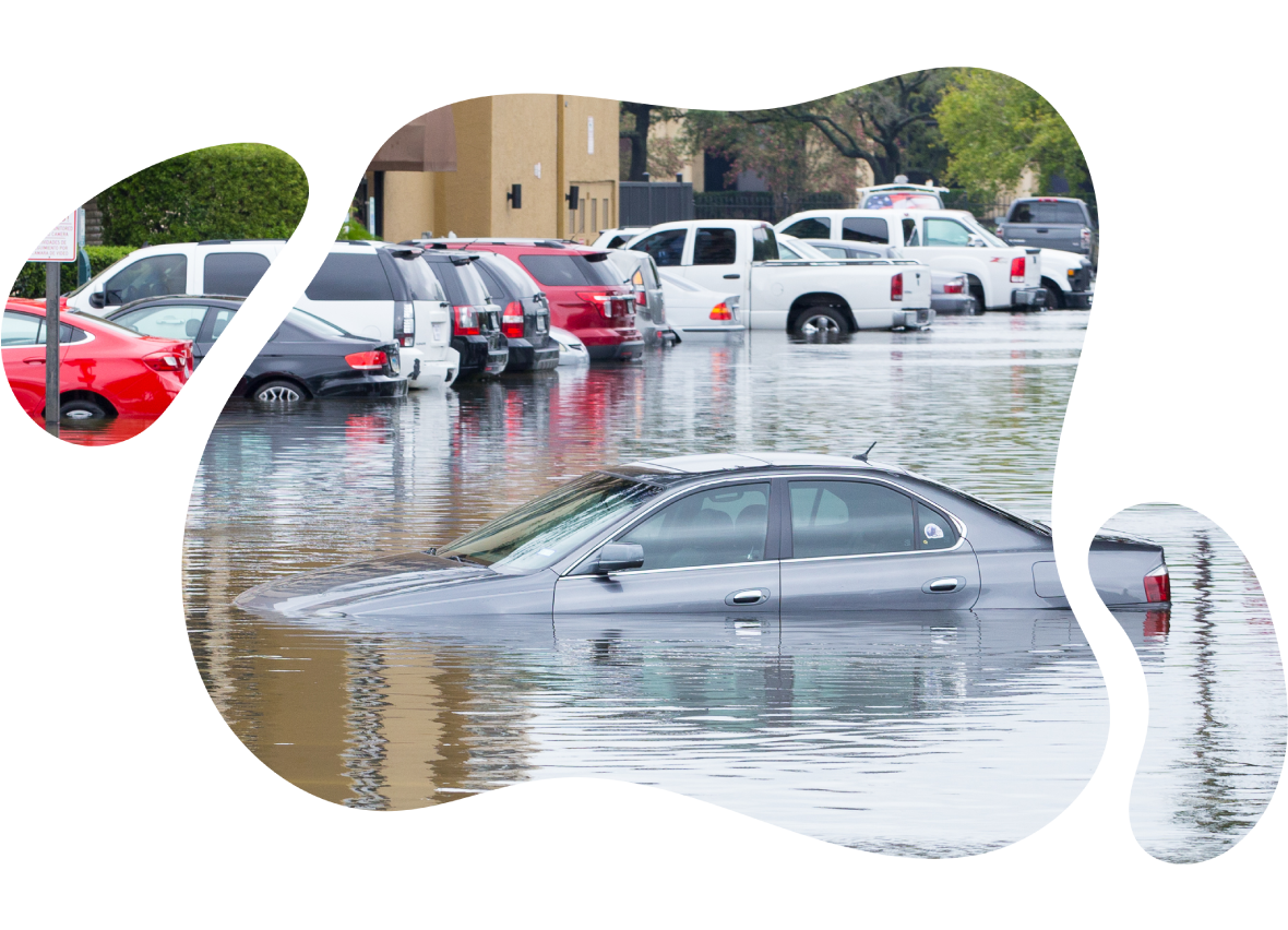 MyEG | The Flagship E-Government Solutions and Services Provider in ...